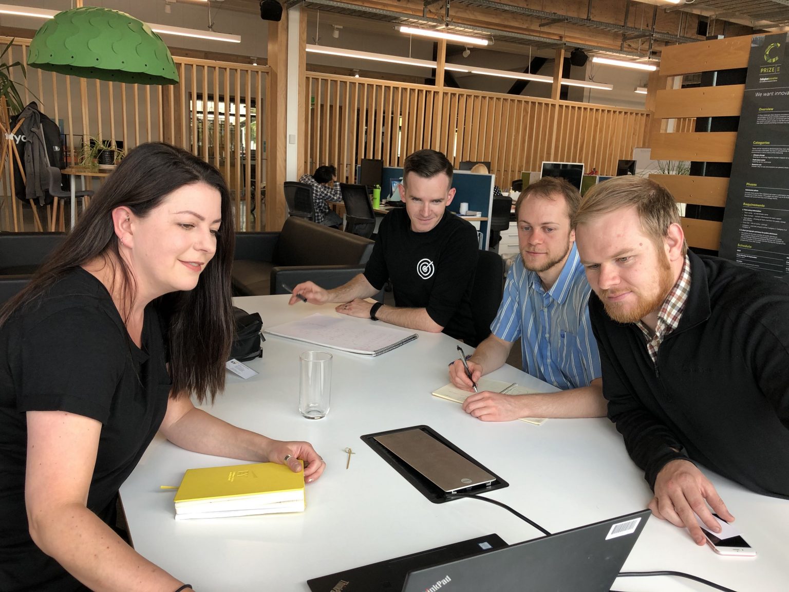 Announcing EY New Zealand as the official sponsor and partner of Te ...